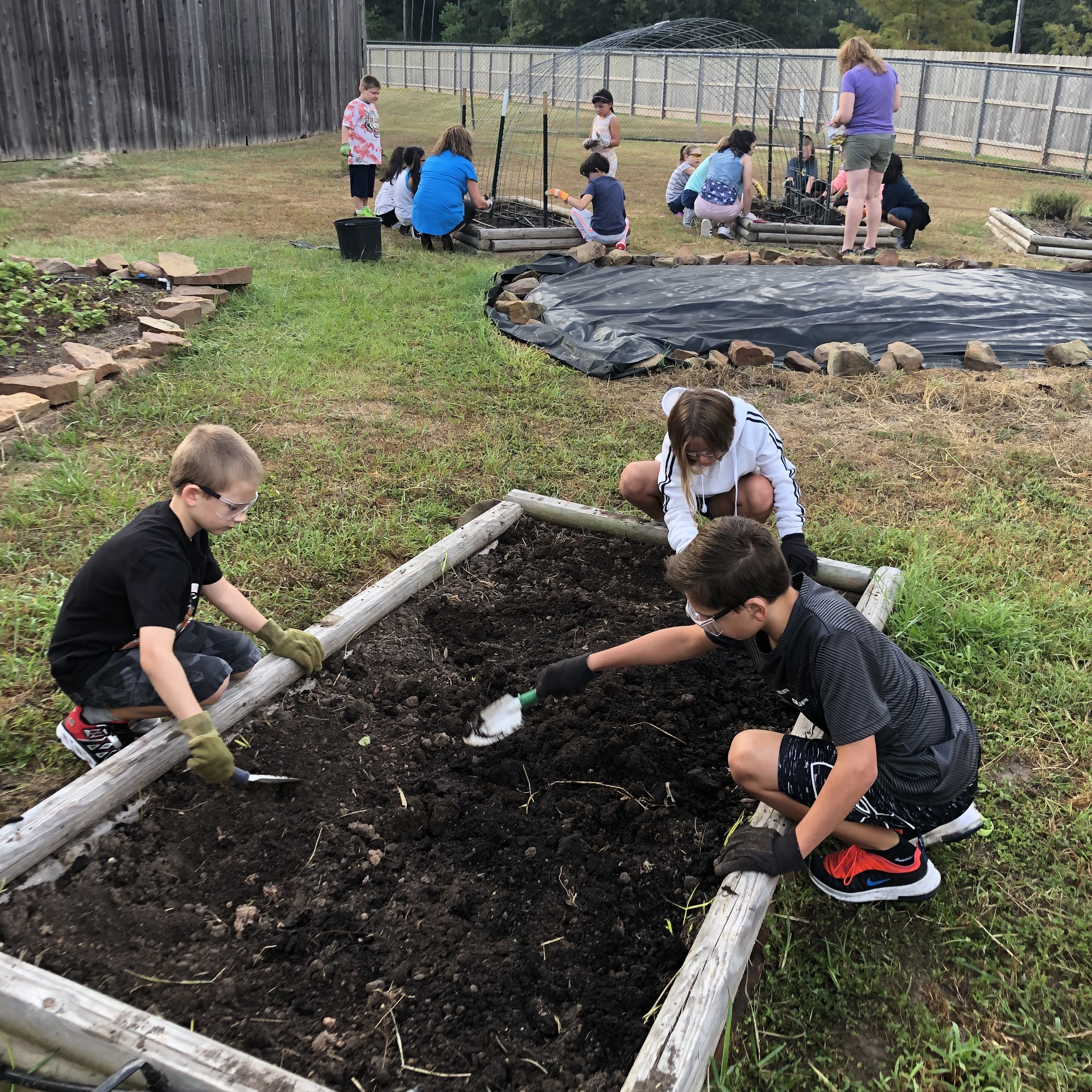 Youth Garden Awards – The Woodlands Garden Club